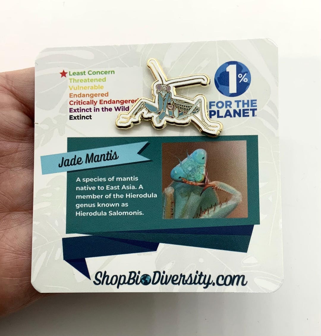 Jade Mantis Enamel Pin: Gold Base Insect Pin - Etsy