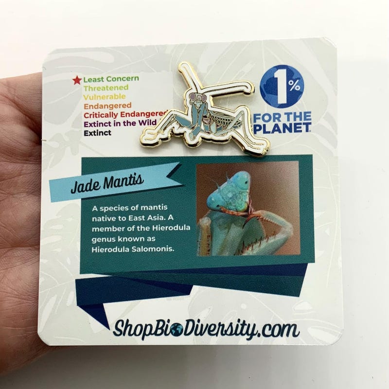 Praying Mantis Pin - Etsy