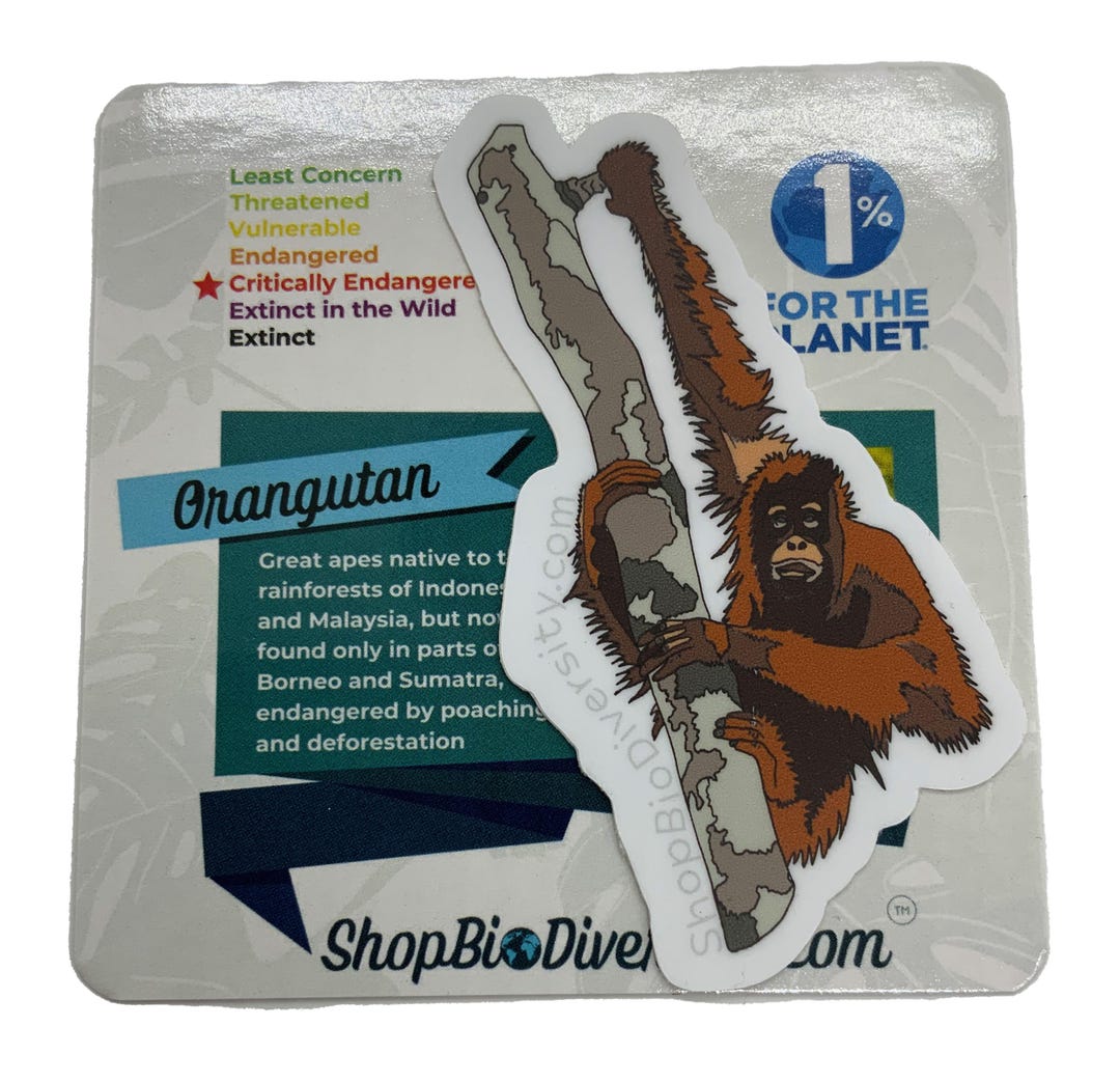 Orangutan Vinyl Sticker - Critically Endangered Great Ape Art ...