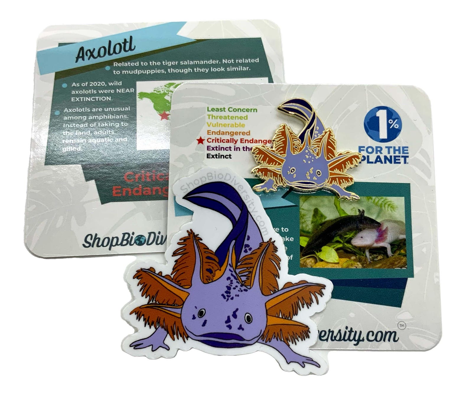 Purple Axolotl Sticker – Waterproof Vinyl Decal - Etsy