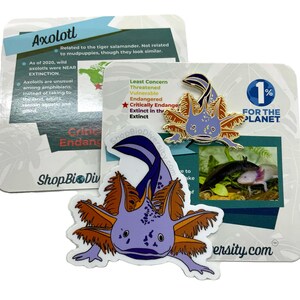 Purple Axolotl Sticker – Waterproof Vinyl Decal - Etsy