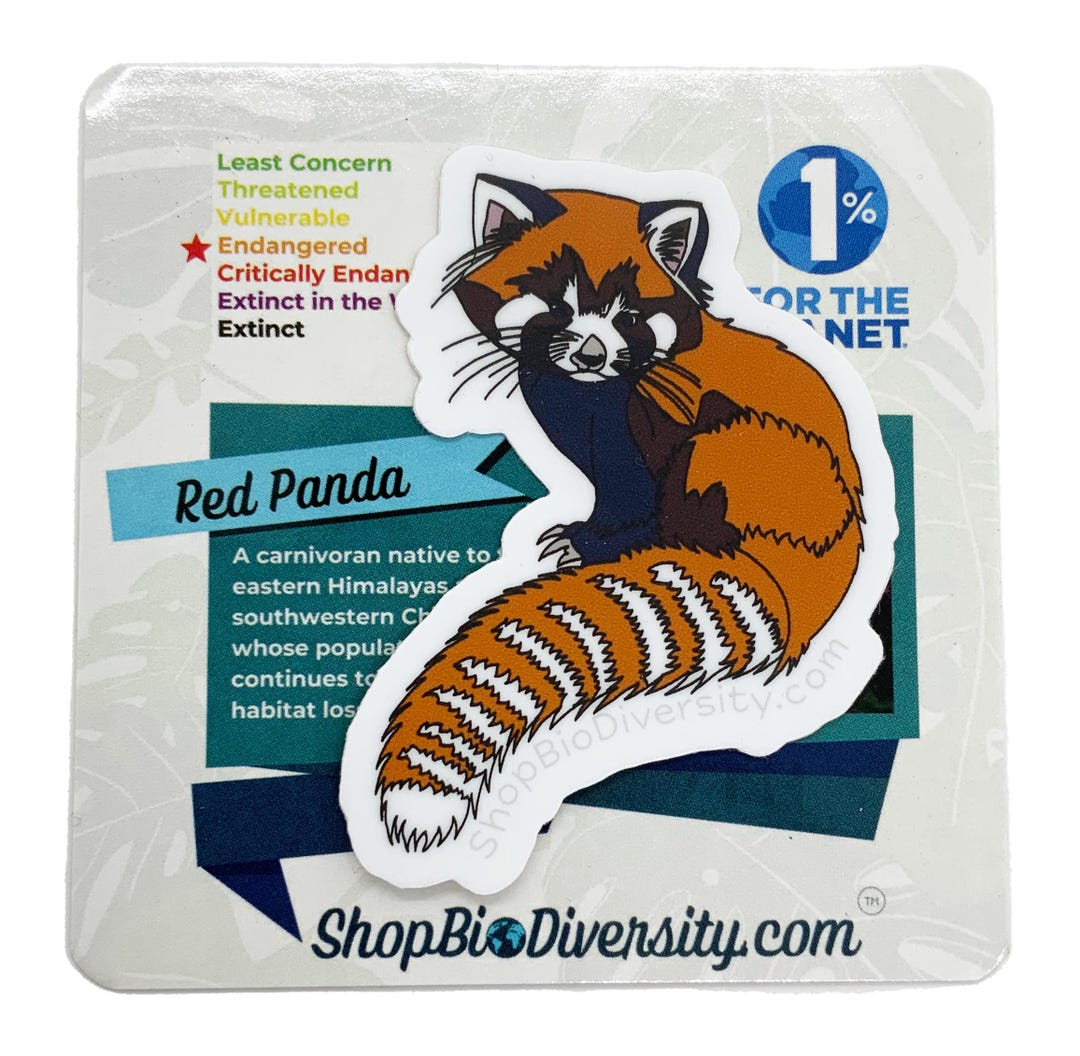Red Panda Vinyl Sticker: Endangered Species Conservation Art - Etsy
