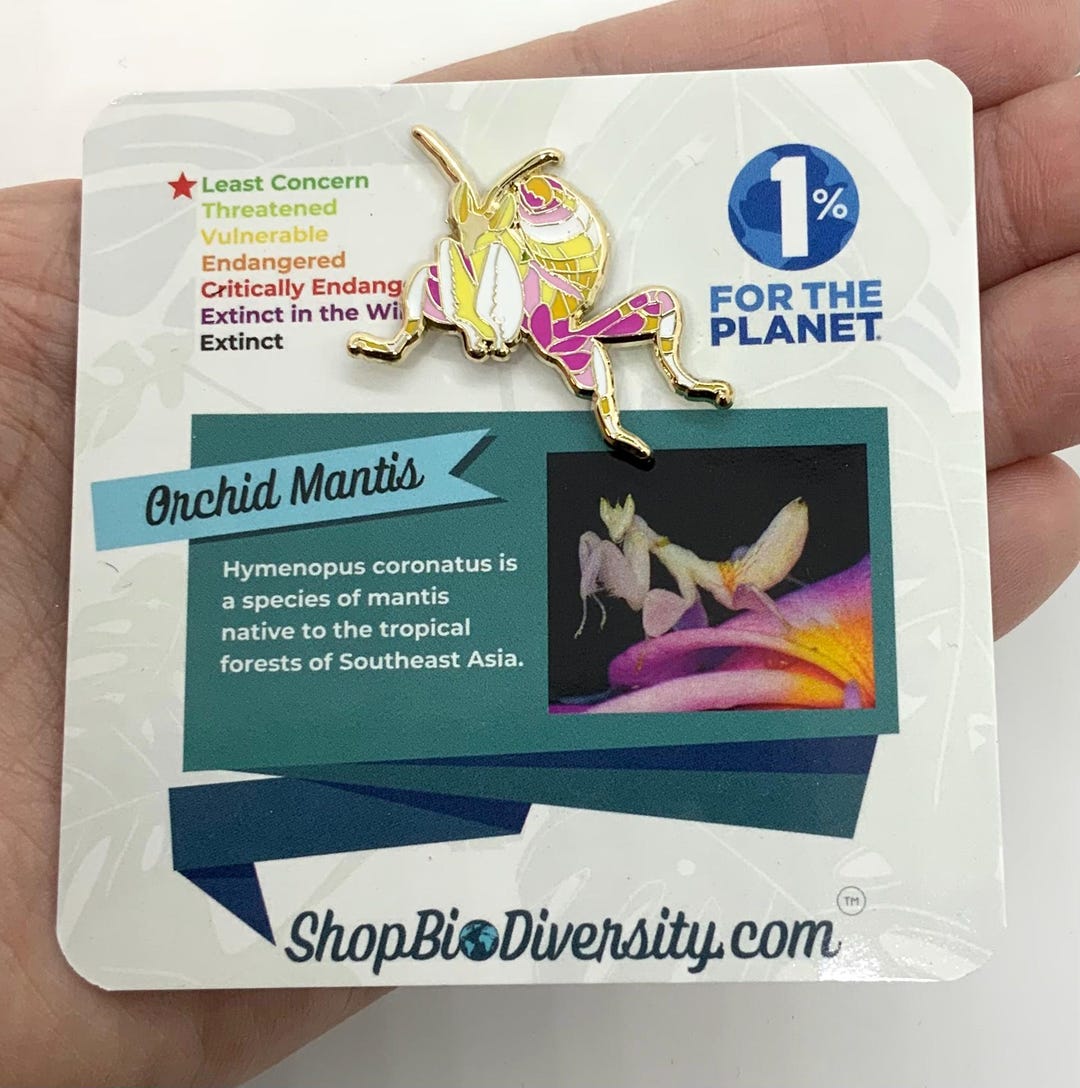 Orchid Mantis Enamel Pin: Gold Insect Jewelry, Wildlife Conservation - Etsy