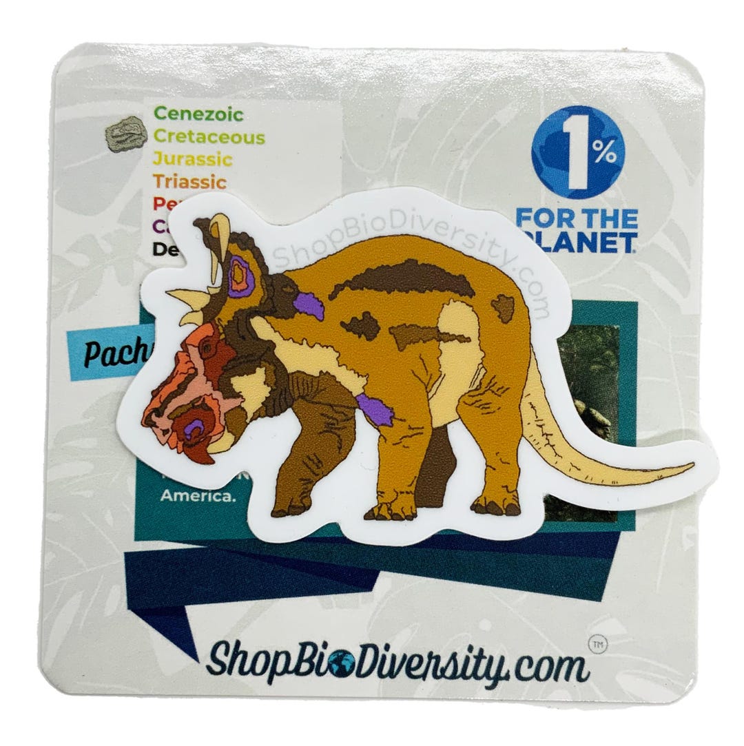 Pachyrhinosaurus Dinosaur Vinyl Sticker - Prehistoric Dino Gift, Fossil ...