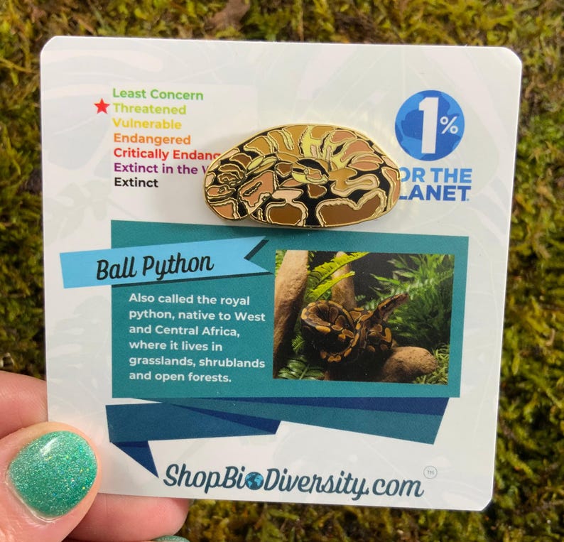 Ball Python Enamel Pin: Gold Snake Brooch, Animal Lover Gift - Etsy