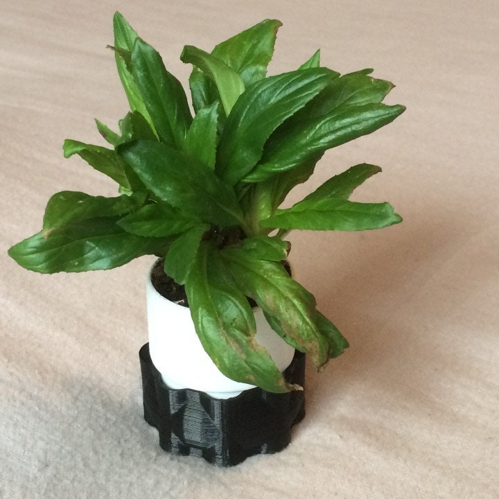 Home & Hobby Torterra Planter Pot Hand-Made Succulent Flowers Honey ...