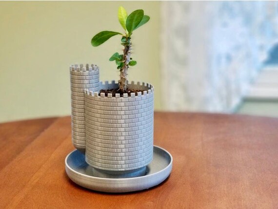 Home & Hobby Torterra Planter Pot Hand-Made Succulent Flowers Honey ...