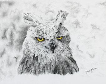 Owl Charcoal Drawing - Etsy