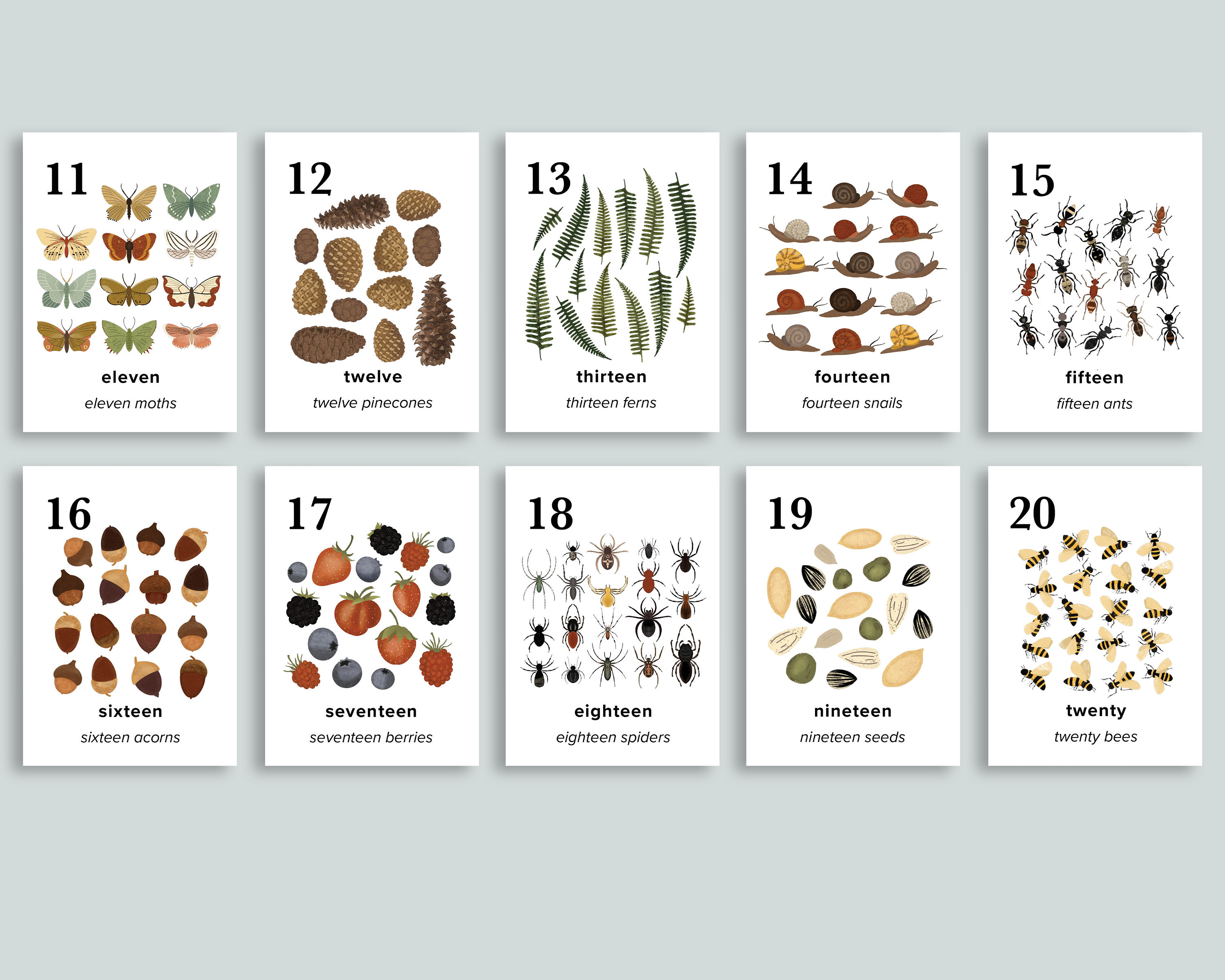 Nature Number Cards 1-20 Charlotte Mason Pre K Homeschool - Etsy