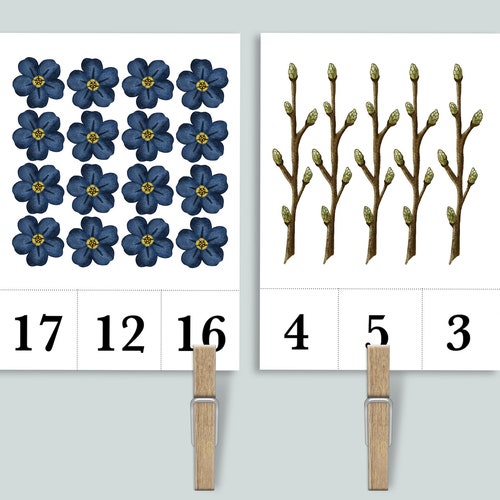 Garden Count and Clip 1-20 Number Cards Nature Homeschool - Etsy