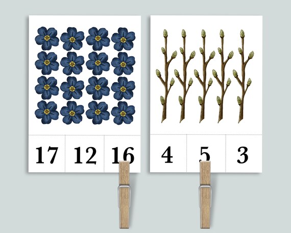 Spring Count and Clip 1-20 Number Cards Spring Homeschool | Etsy