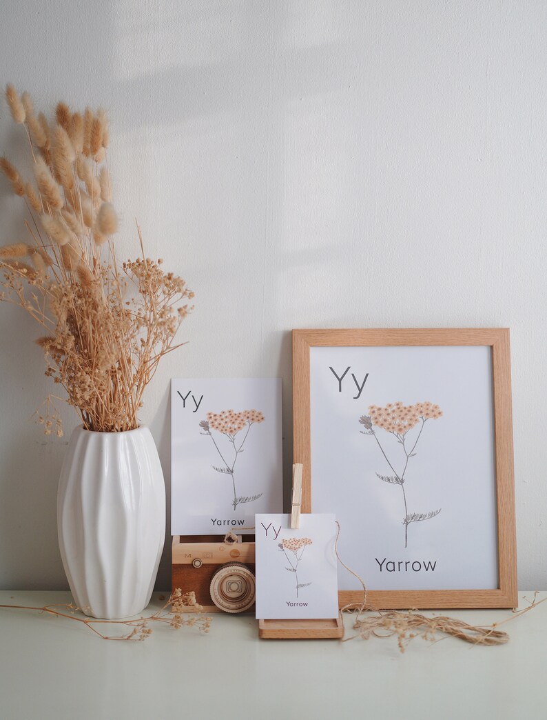 Nature ABC Cards Printable Homeschool Printables Preschool - Etsy