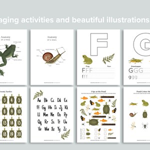 Pond Learning Pack | Pond Life Homeschool Printables | Frog Snail ...