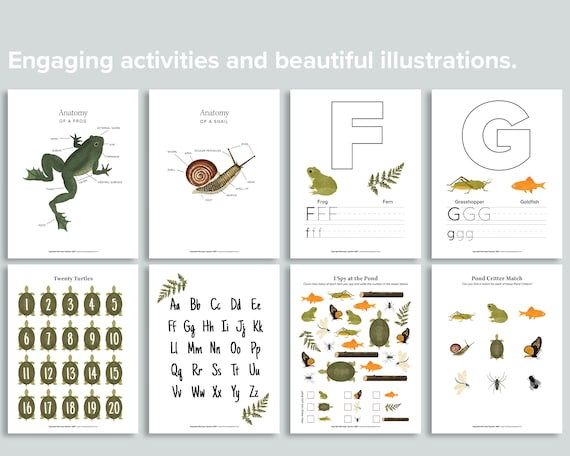 Pond Learning Pack Pond Learning Pond Unit study Frog Unit Study Spring ...