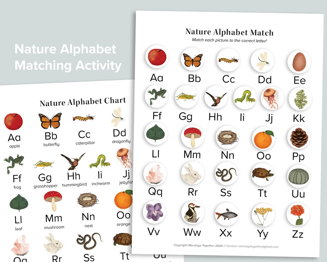 Nature ABC Beginning Sounds Activity Match Nature Busy Book - Etsy