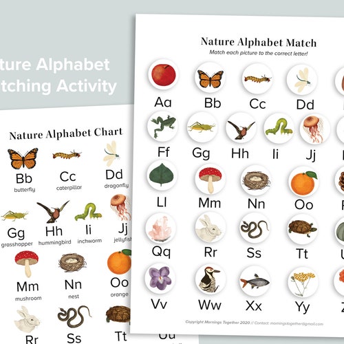 Nature ABC Beginning Sounds Activity Match Nature Busy Book - Etsy