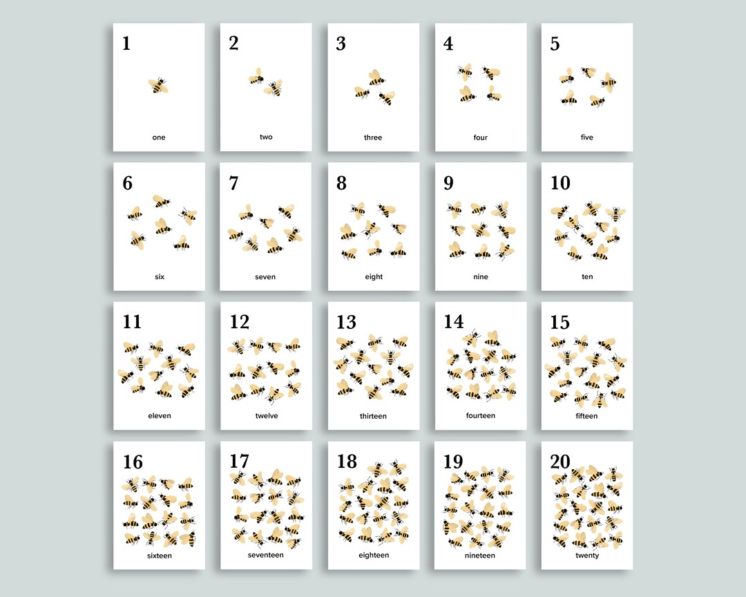 Bee Number Cards 1-20 | Charlotte Mason Nature Flashcards | Homeschool ...