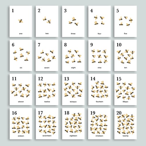Bee Number Cards 1-20 Charlotte Mason Nature Flashcards - Etsy