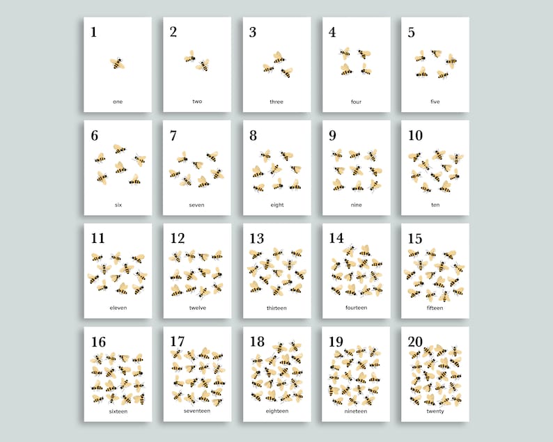 Bee Number Cards 1-20 Charlotte Mason Nature Flashcards - Etsy