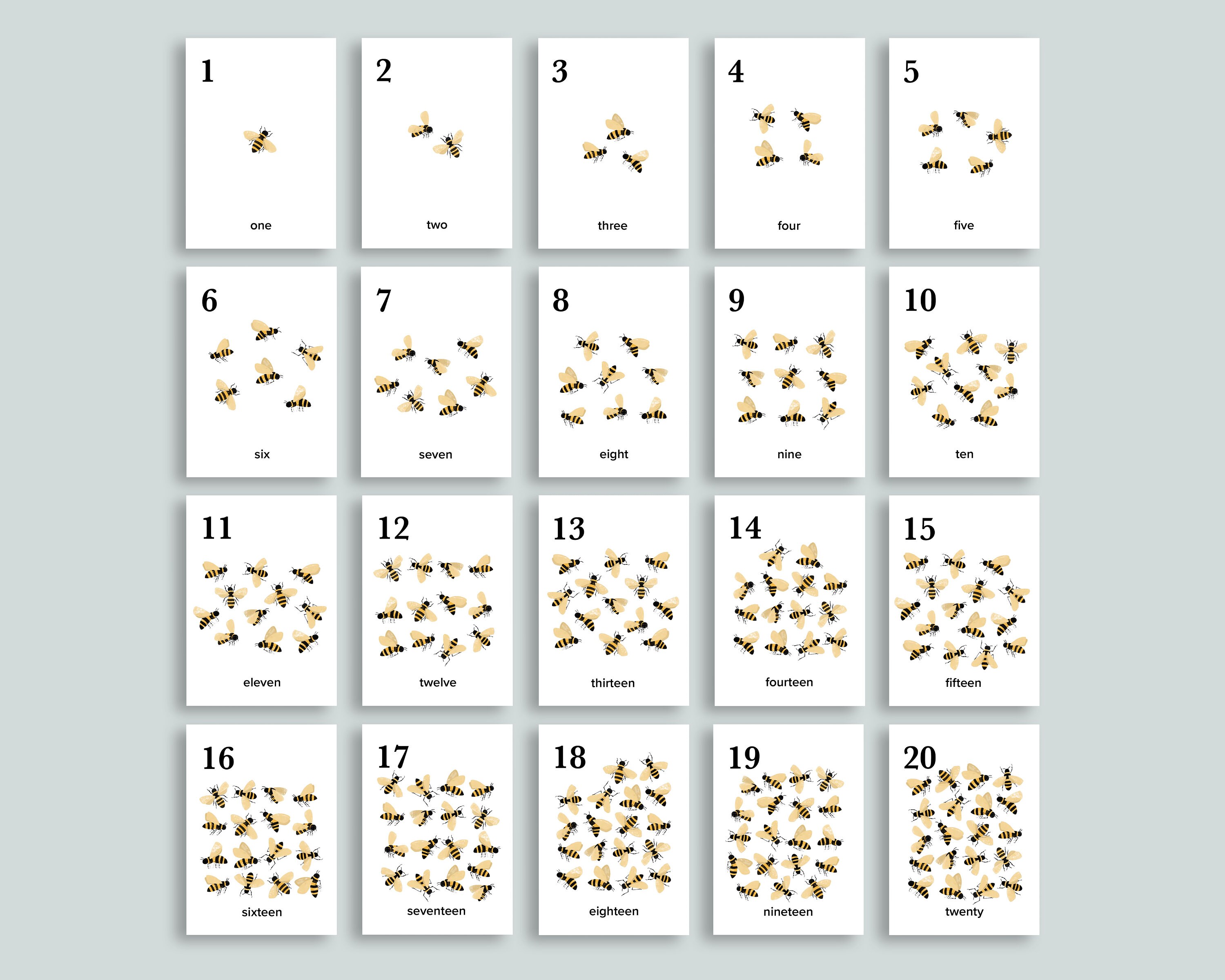 Bee Number Cards 1-20 Charlotte Mason Nature Flashcards | Etsy
