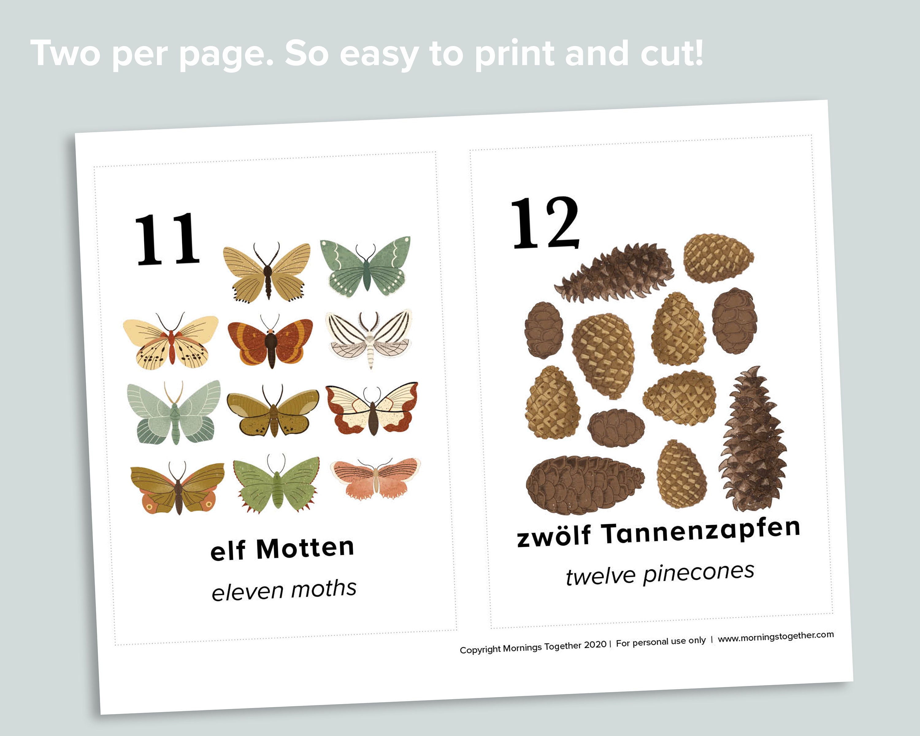 German & English Nature Number Cards 1-20 Bilingual Printable ...