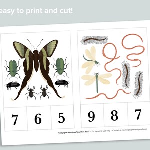 Bugs Count and Clip 1-20 Number Cards | Nature Homeschool Printables ...