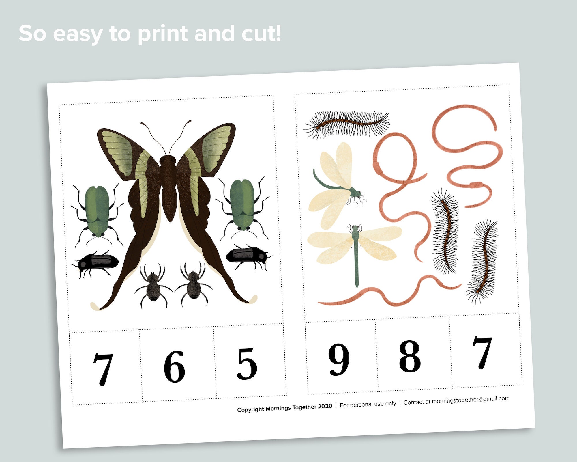 Bugs Count and Clip 1-20 Number Cards Nature Homeschool - Etsy