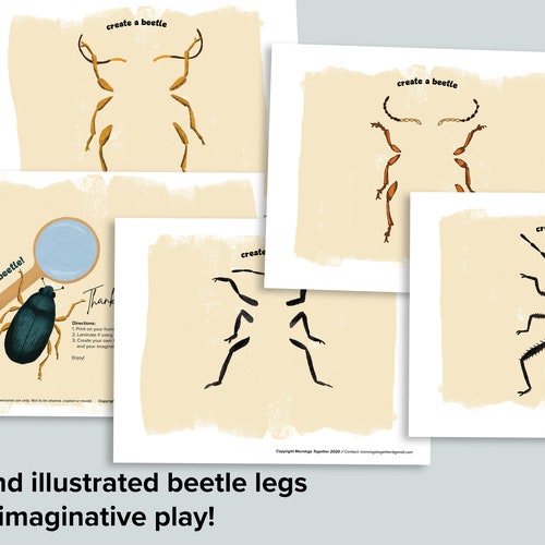 Beetles Playdough Mat Printable Bugs Insects Spring Garden - Etsy