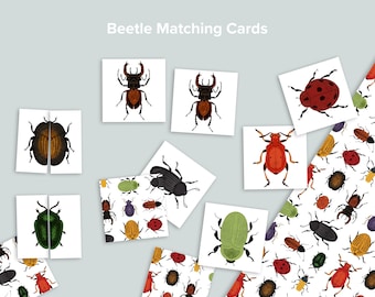 Bug Match Game - Etsy