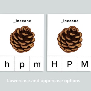 Beginning Sounds Clip Cards | Nature ABC Printable | Phonics Activity ...