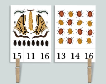 Bugs Count &clip 1-20 Number Cards|nature Homeschool Printables|insects ...