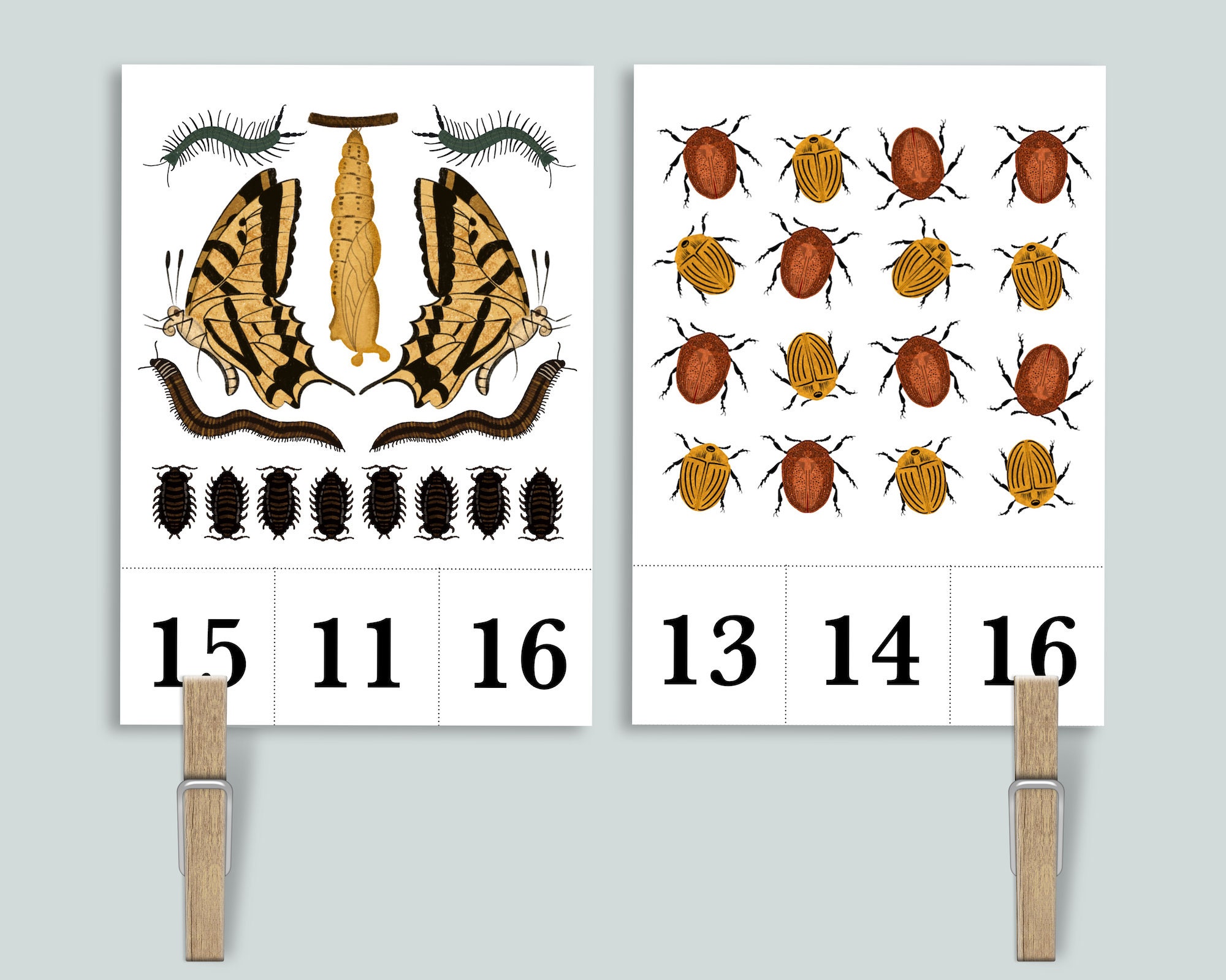 Bugs Count and Clip 1-20 Number Cards Nature Homeschool | Etsy