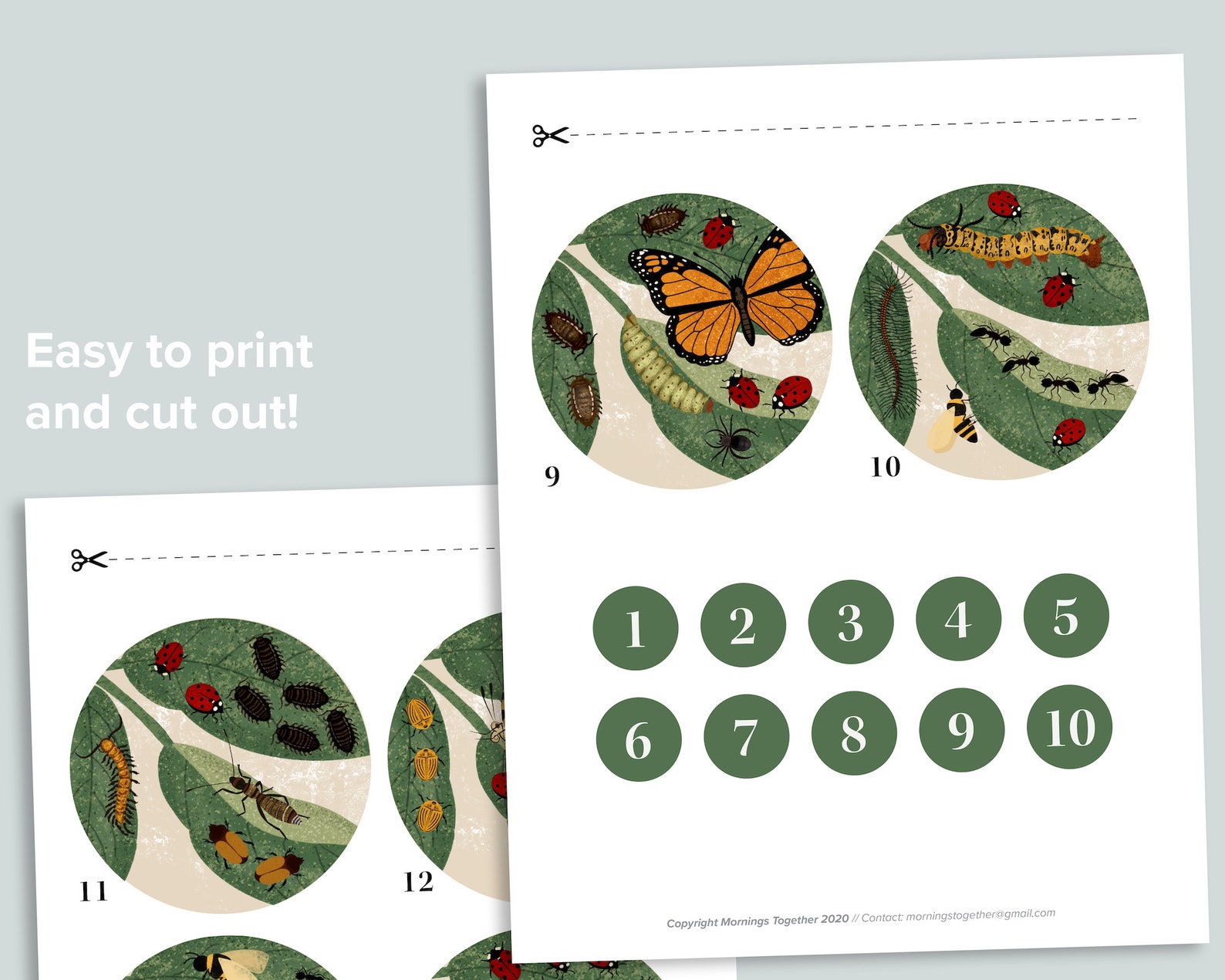 1-20 Bug Counting Activity | Preschool Nature Busy Book Pages | Numbers ...