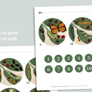 1-20 Bug Counting Activity | Preschool Nature Busy Book Pages | Numbers ...