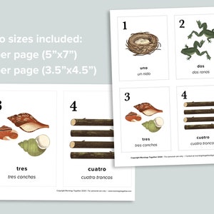 Spanish & English Nature Number Cards 1-20 Bilingual Printable ...