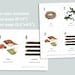 Spanish & English Nature Number Cards 1-20 Bilingual (Download Now) - Etsy