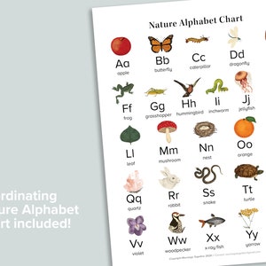 Nature ABC Beginning Sounds Activity Match Nature Busy Book - Etsy