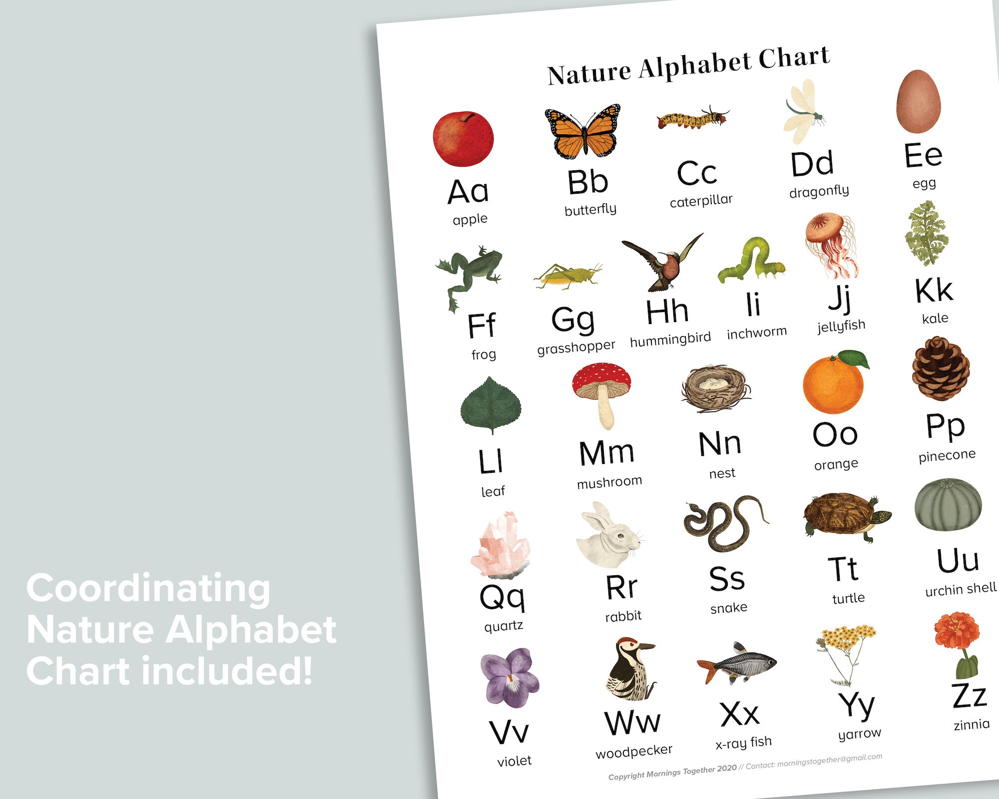 Nature ABC Beginning Sounds Activity Match Nature Busy Book - Etsy