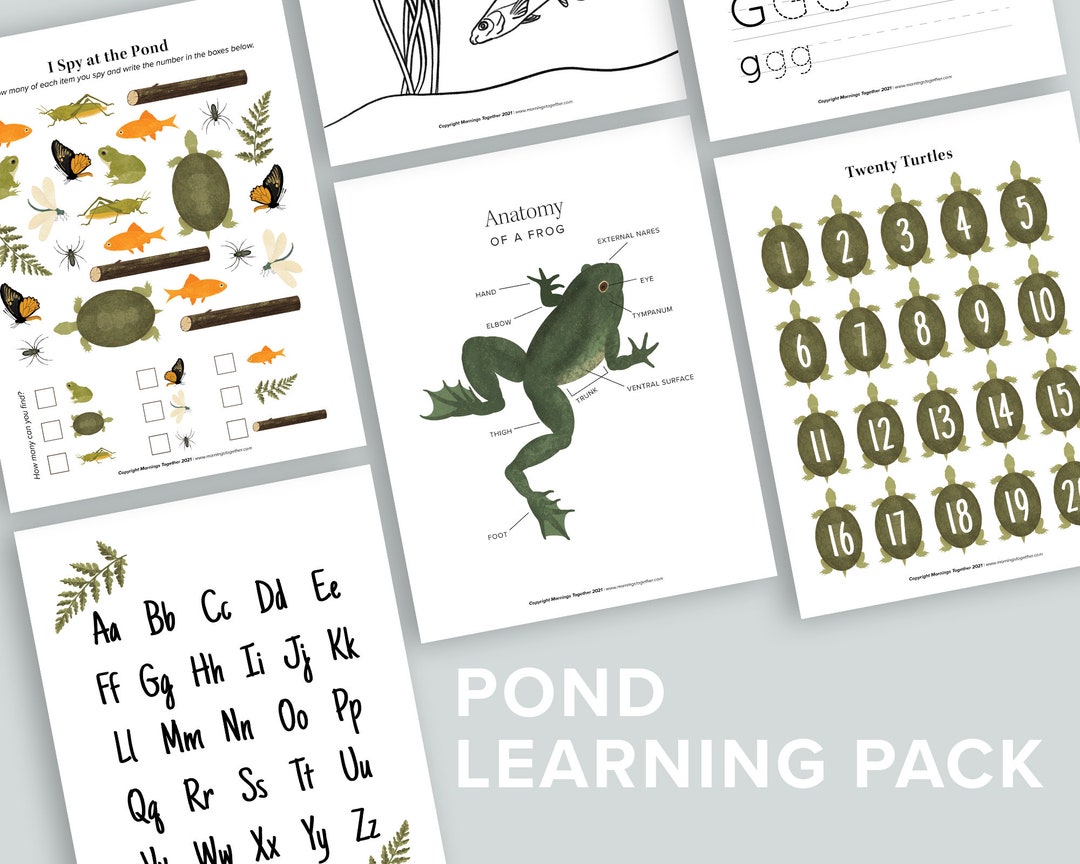 Pond Learning Pack | Pond Life Homeschool Printables | Frog Snail ...