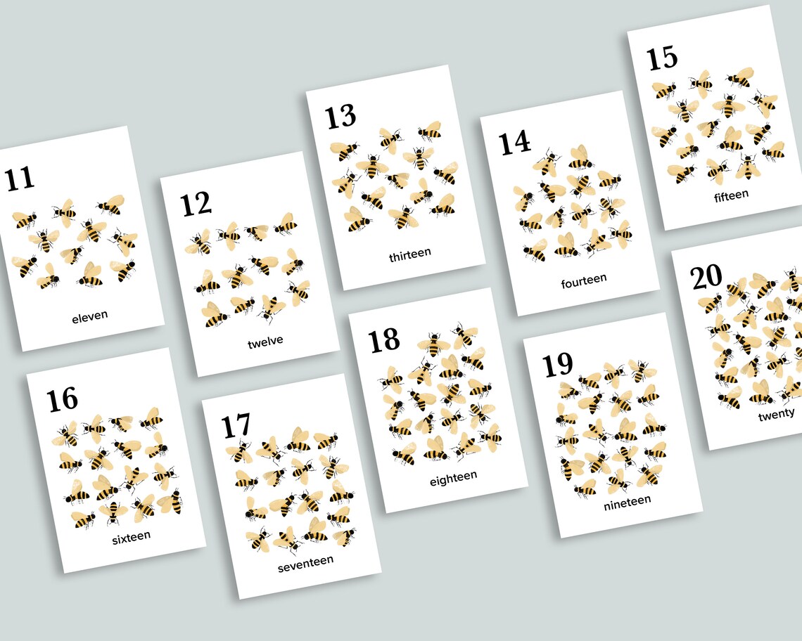 Bee Number Cards 1-20 Charlotte Mason Nature Flashcards | Etsy