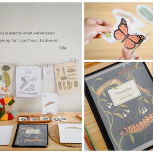 Nature Alphabet Guide Curriculum | Homeschool Preschool Printables ...