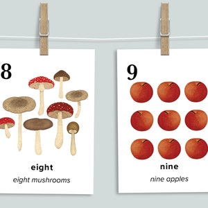Autumn Nature Number Cards Printable | Fall Homeschool Printables ...