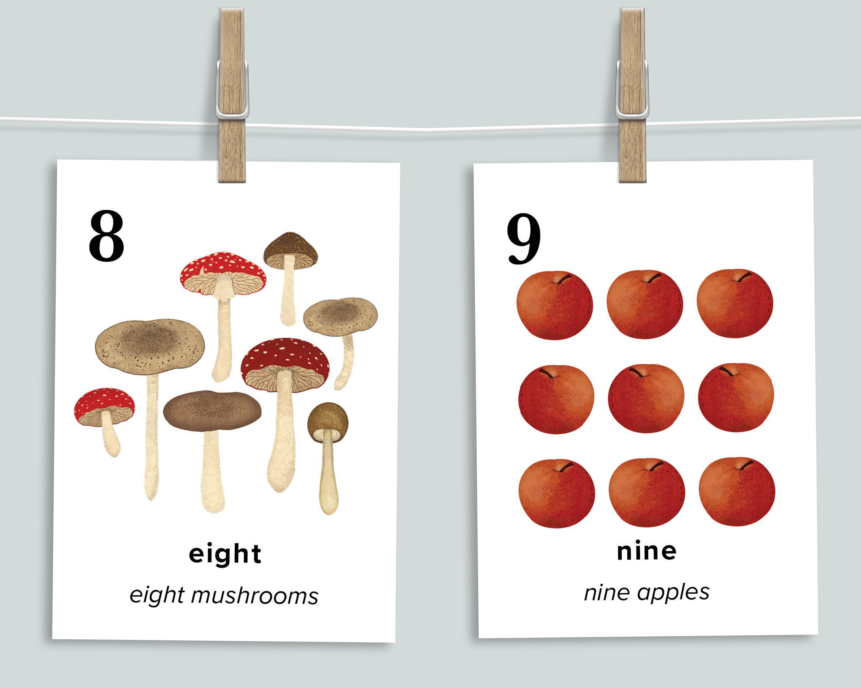 Autumn Nature Number Cards Printable Fall Homeschool | Etsy