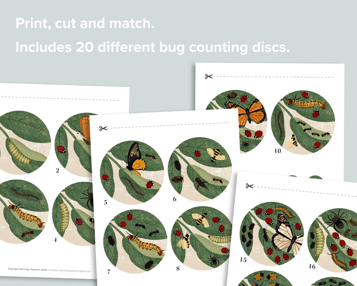 1-20 Bug Counting Activity | Preschool Nature Busy Book Pages | Numbers ...