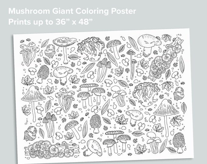 Coloring Poster, Giant Coloring Poster, Coloring for Kids, Fun Kids ...