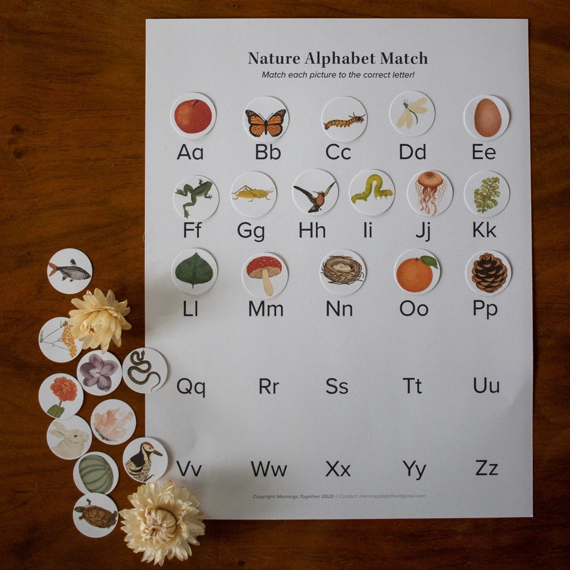 Nature ABC Beginning Sounds Activity Match Nature Busy Book - Etsy