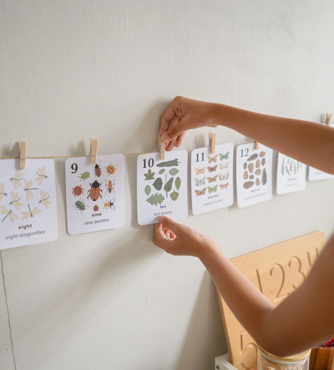 Nature Number Cards 1-20 | Charlotte Mason Pre K | Homeschool ...