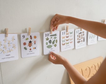 Number Flashcards 1-20 Printable, Nature Number Cards, Nursery Wall Art ...