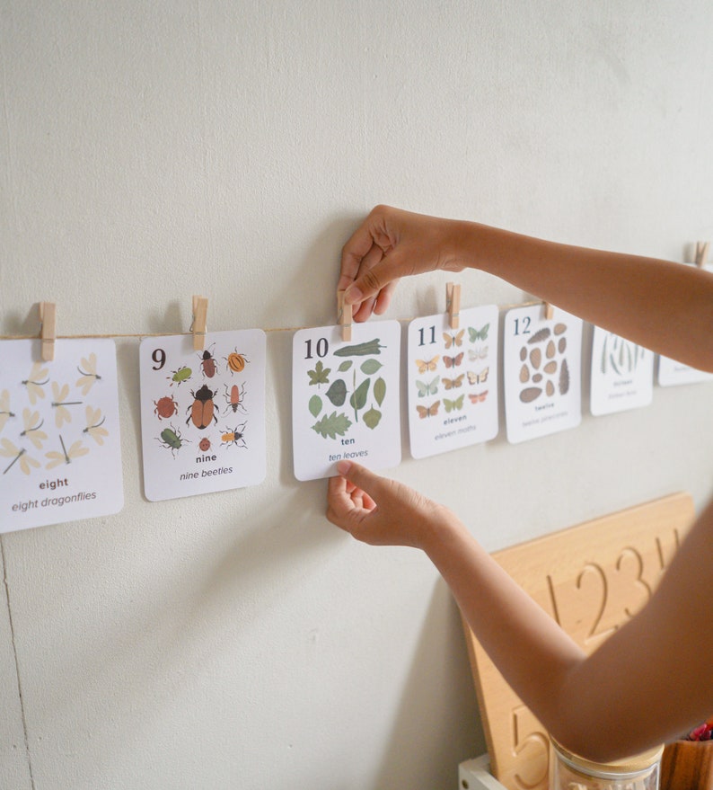 Nature Number Cards 1-20 Charlotte Mason Pre K Homeschool - Etsy
