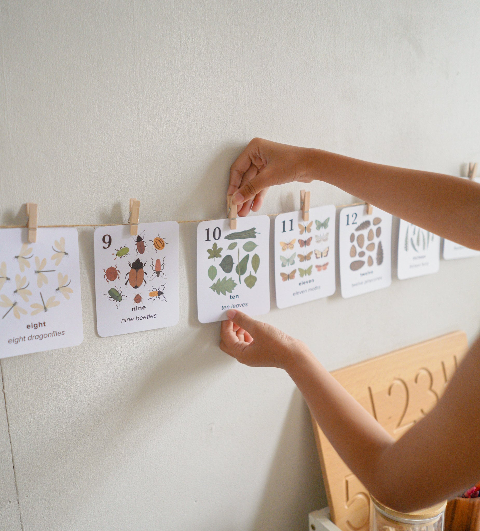 Nature Number Cards 1-20 | Charlotte Mason Pre K | Homeschool ...